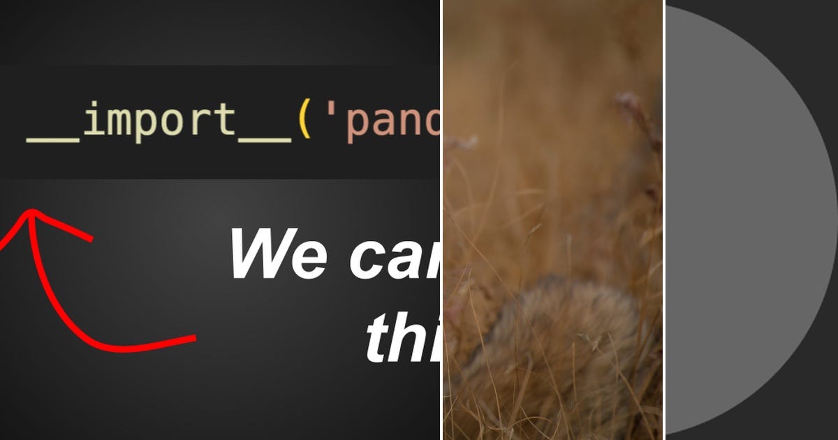 List: LIBRARIES | Curated by Andrew | Medium