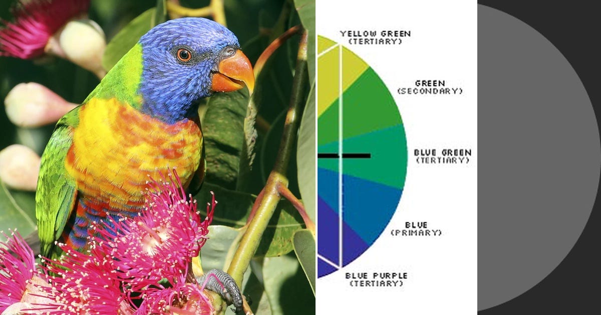 List: Colors | Curated by Jeff Ryan Carlson | Medium