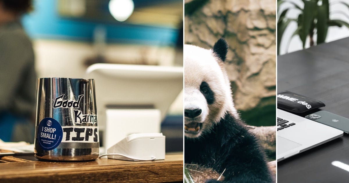 List: Pandas | Curated by Victoria Sukar | Medium