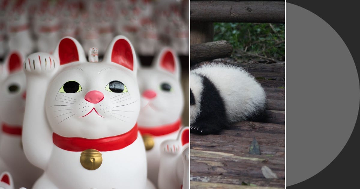 List: Pandas | Curated by Robert Boyle | Medium
