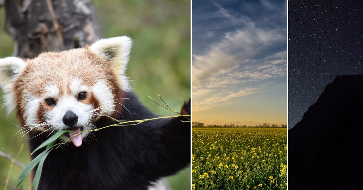 List: EDA | Curated by Diego Brouckaert | Medium