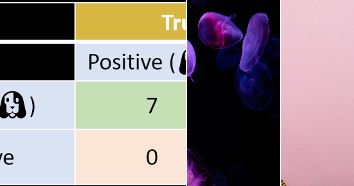 List Multiclass Classification Curated By Đình Phúc Võ Medium 