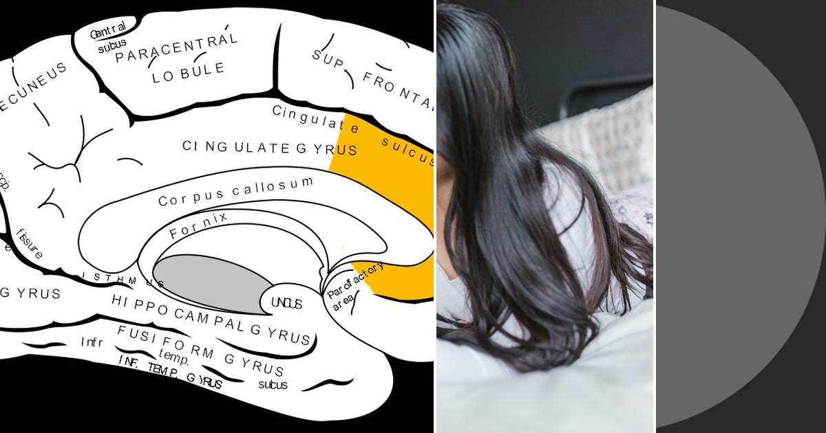 List: Health | Curated by Paul Clegg | Medium