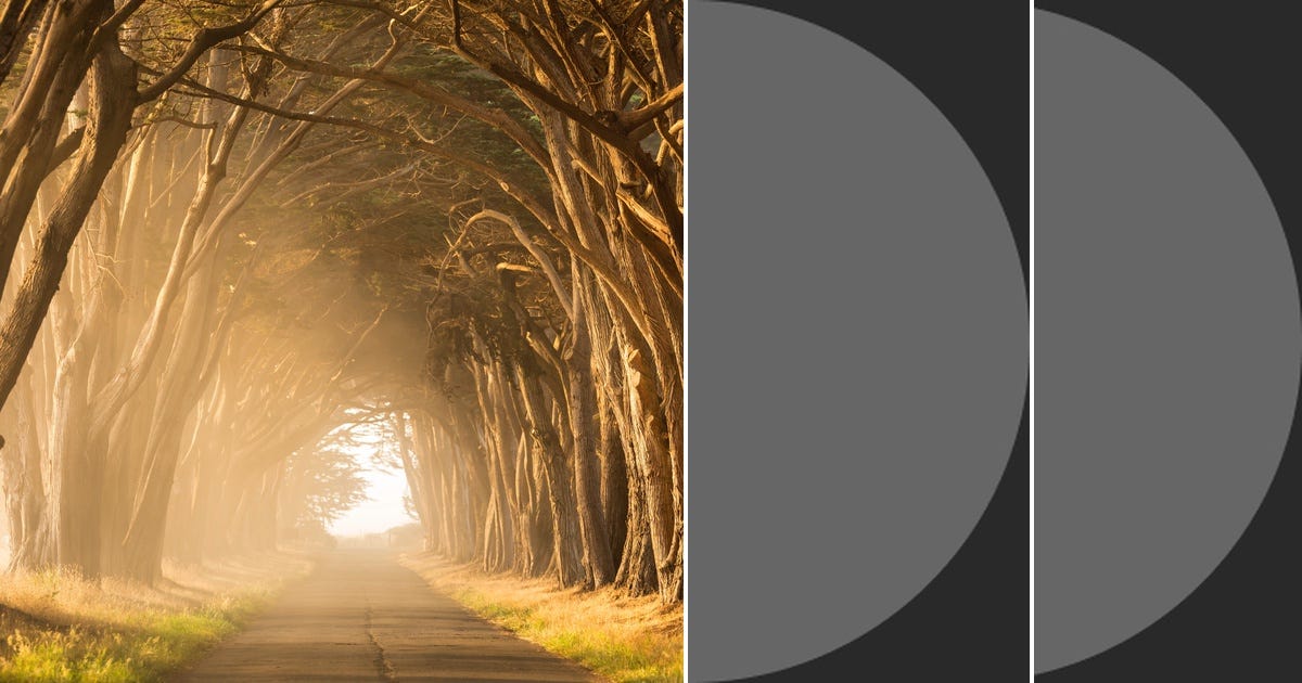 List: Reading list | Curated by Thomas Richard | Medium