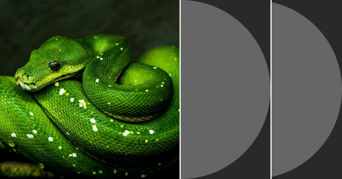 List: Python | Curated by Jorge Mena | Medium