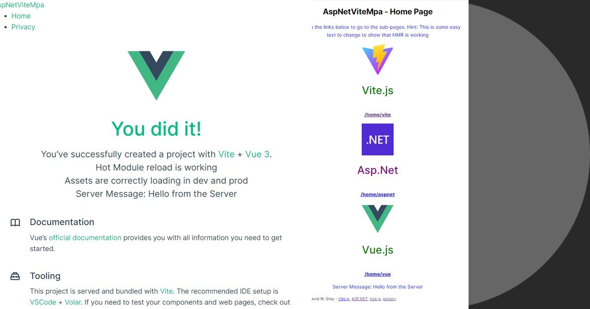 List: Building a Multi-Page Site With ASP.NET, Vue.js & Vite.js | Curated by David W. Gray | Medium