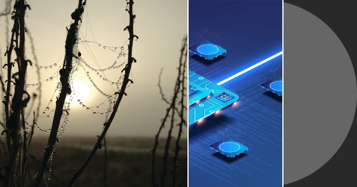 List: Security | Curated by Chris Guerra | Medium