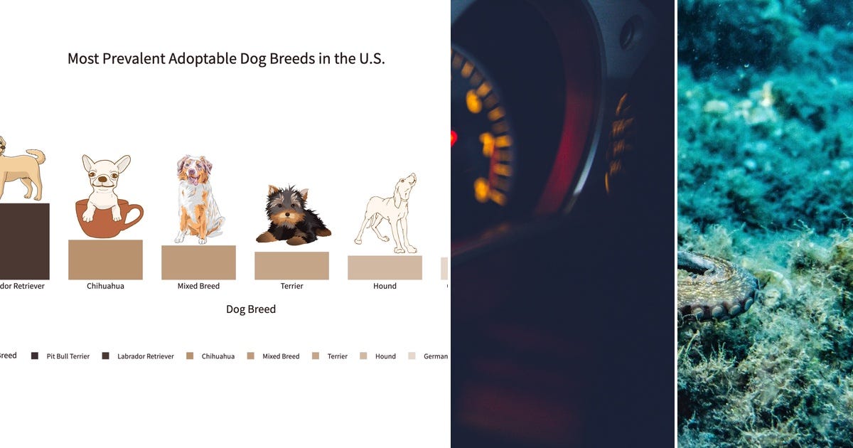 List: Data Visualisation | Curated by Oli Woodman | Medium