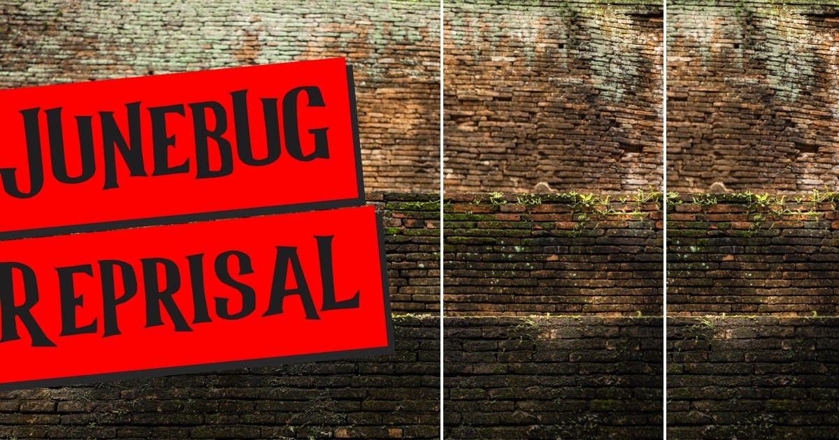 List: Junebug Reprisal | Curated by Skyler Black | Medium