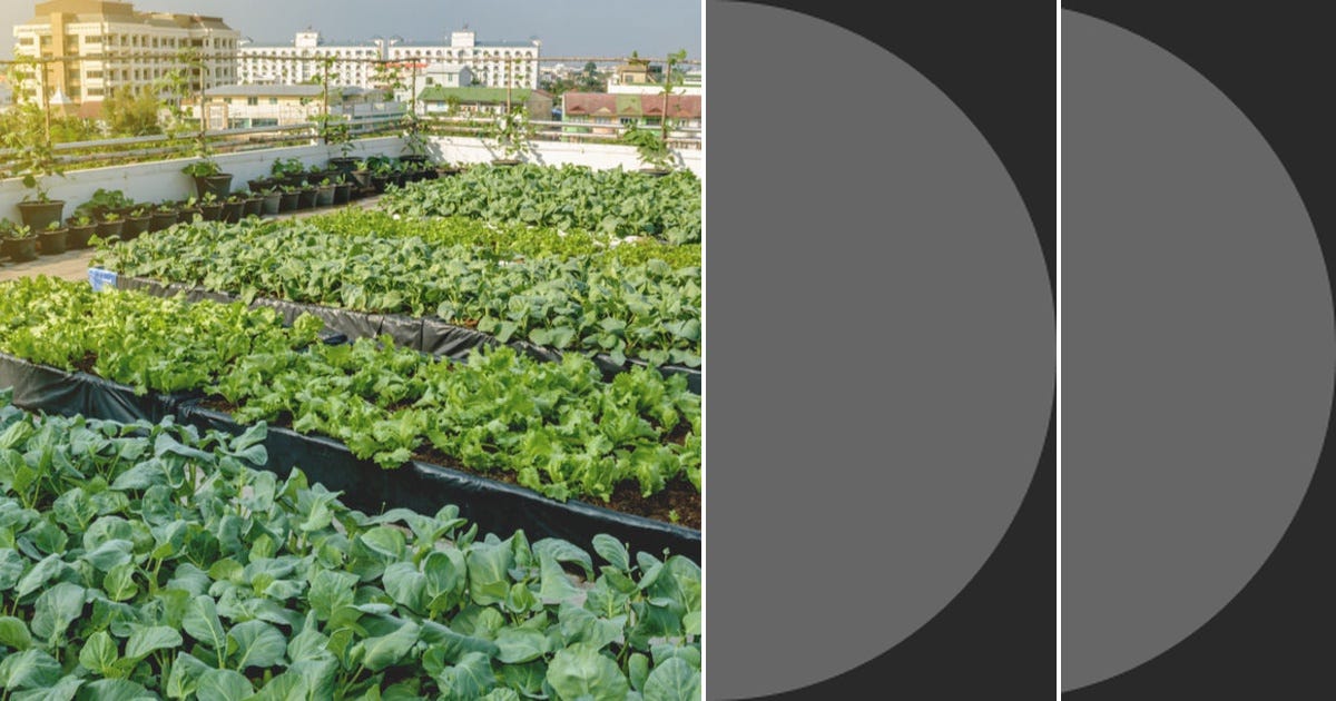 List: Future Farming | Curated by tipsypencil | Medium