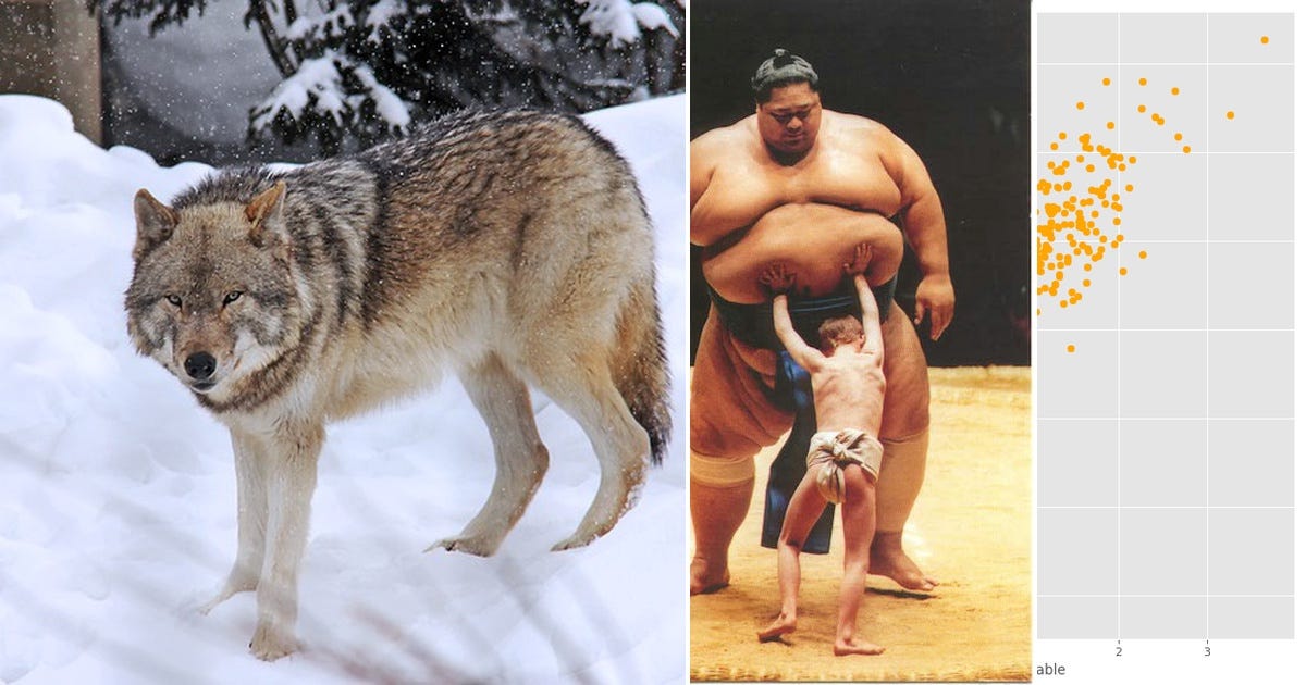 List: PCA | Curated by renerui | Medium