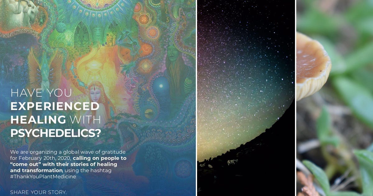 List: Psychedelics | Curated by gab1930s | Medium