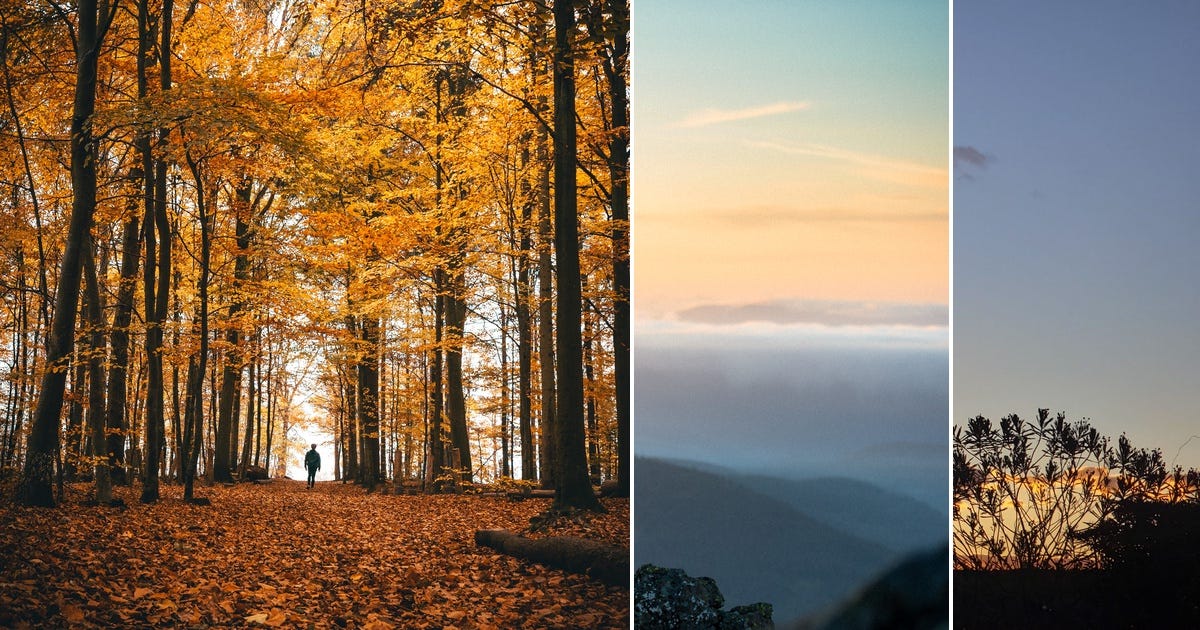 List: David Gerken | Curated by Darrin Leigh Potaka | Medium