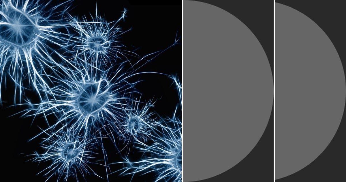 List: Computational neuroscience | Curated by Lumenharbinger | Medium