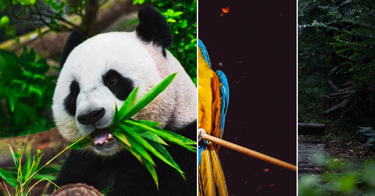 List: Pandas Functions | Curated by Christine Ezeogu | Medium