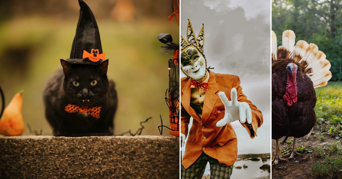 List: My 10 and 20 Word Stories | Curated by Shereen Bingham | Medium