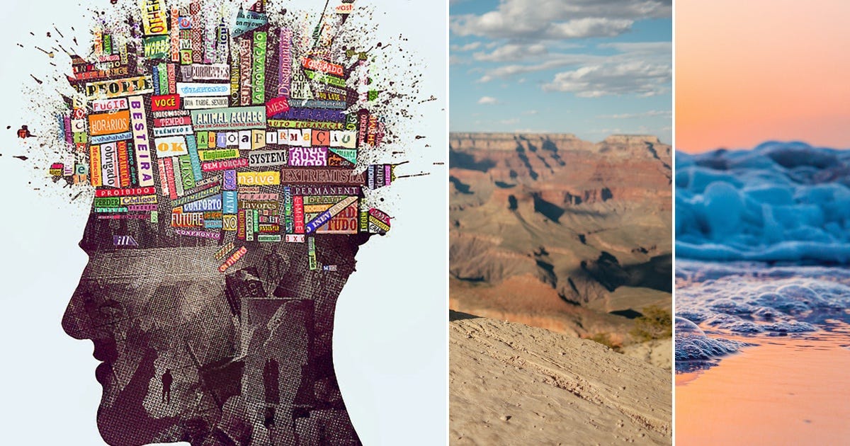 List: Food | Curated by traci | Medium