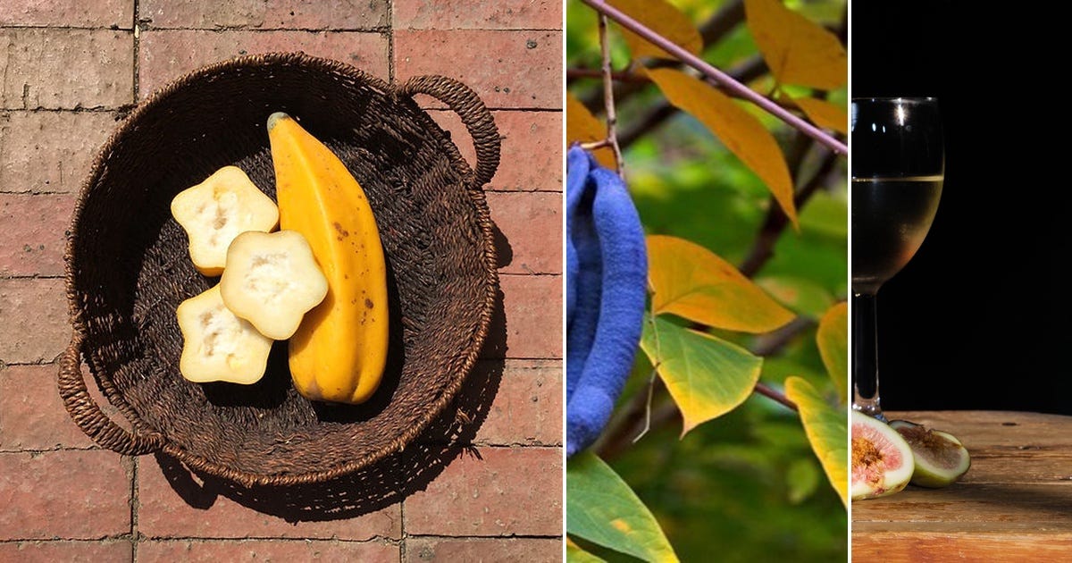 List: An Introduction to Superfruits | Curated by Jason Bowers | Medium