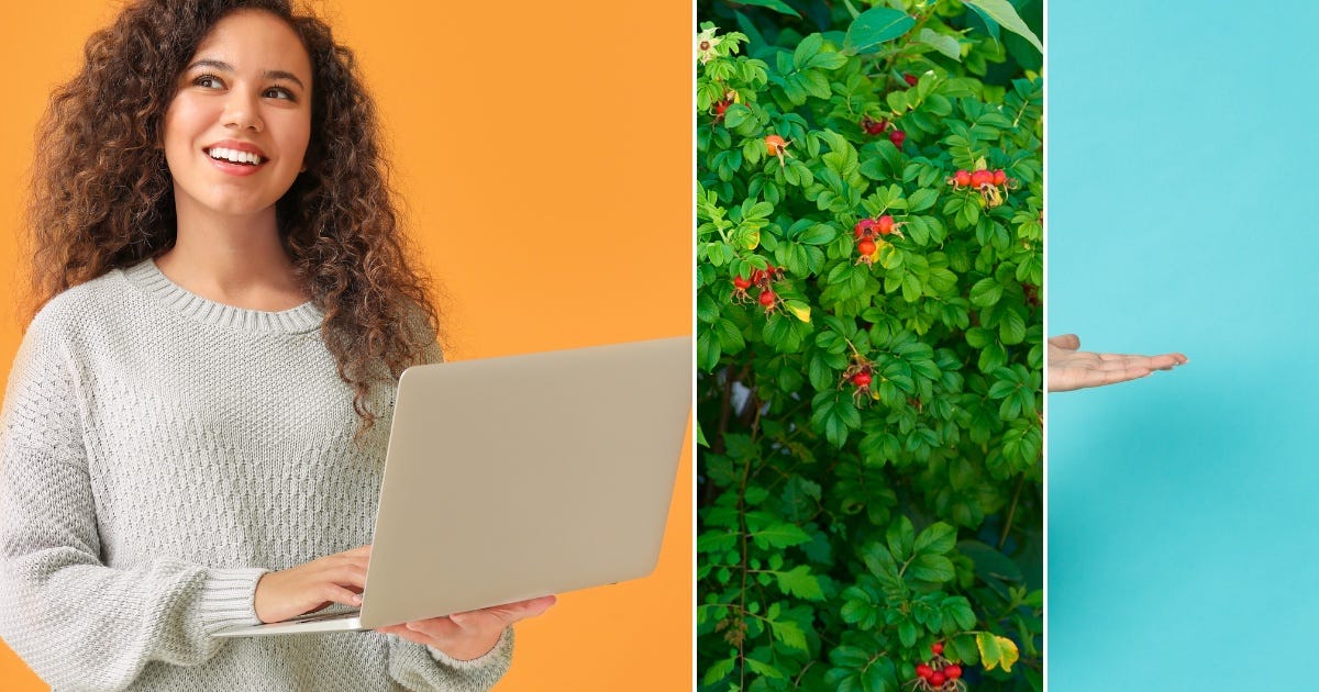 List: Writing Tips and Inspiration | Curated by Linda Locke | Medium