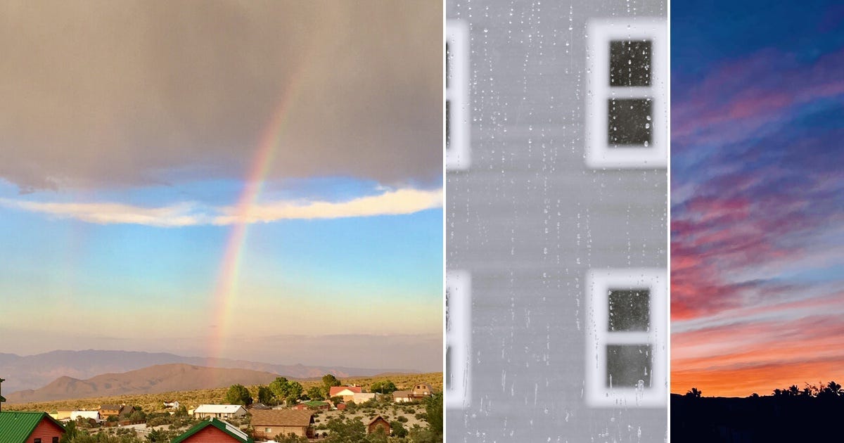 List: The Universal Pain of Grief and Loss | Curated by Misty Fields | Medium