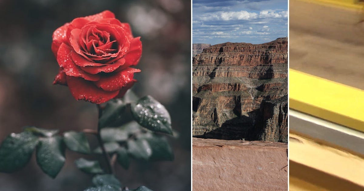 List: Reading list | Curated by ash | Medium