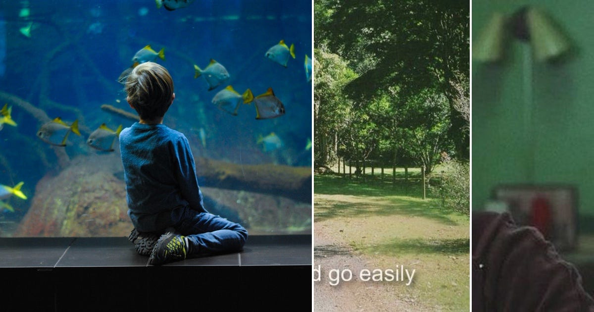 List: safe place | Curated by eli angie | Medium