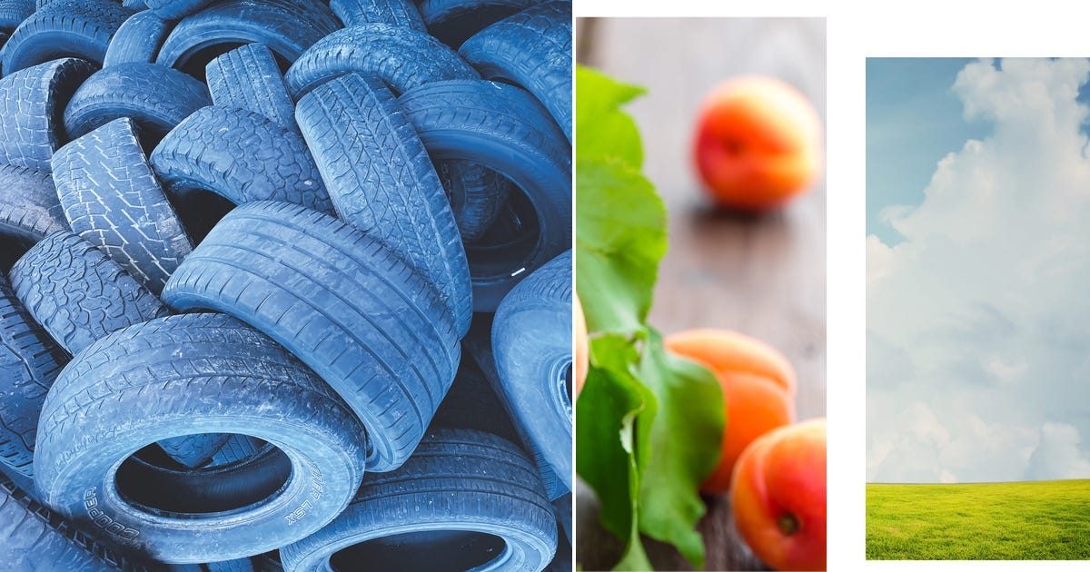 List: JoAnne: Word Nerd and her 1830 Dictionary | Curated by JoAnne Wallis | Medium