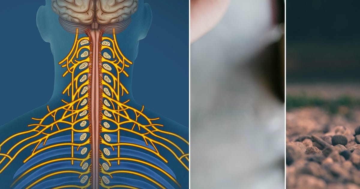 List: Save | Curated by Amy Wilda | Medium