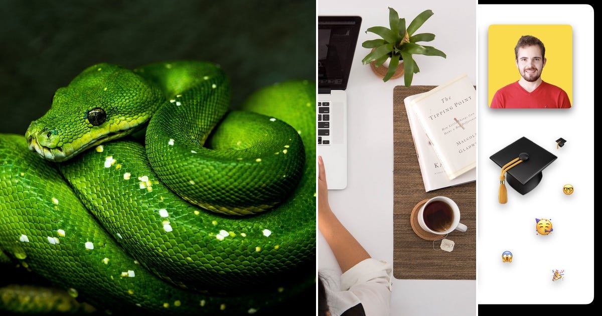 List: self taught | Curated by Robert Portelli | Medium