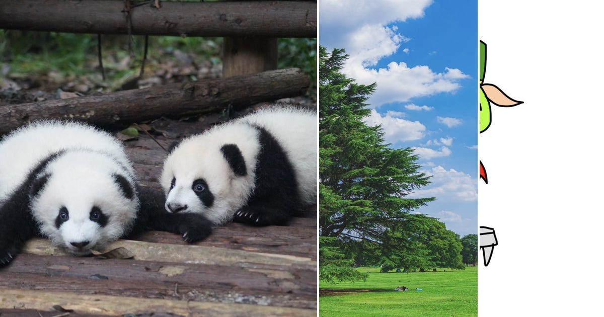 List: Python Tips | Curated by Adrian Osterfichtn | Medium