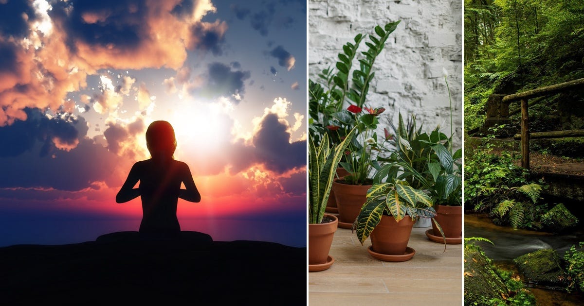 List: Nature and Life Deep-rooted connection | Curated by Iqra Aslam ...