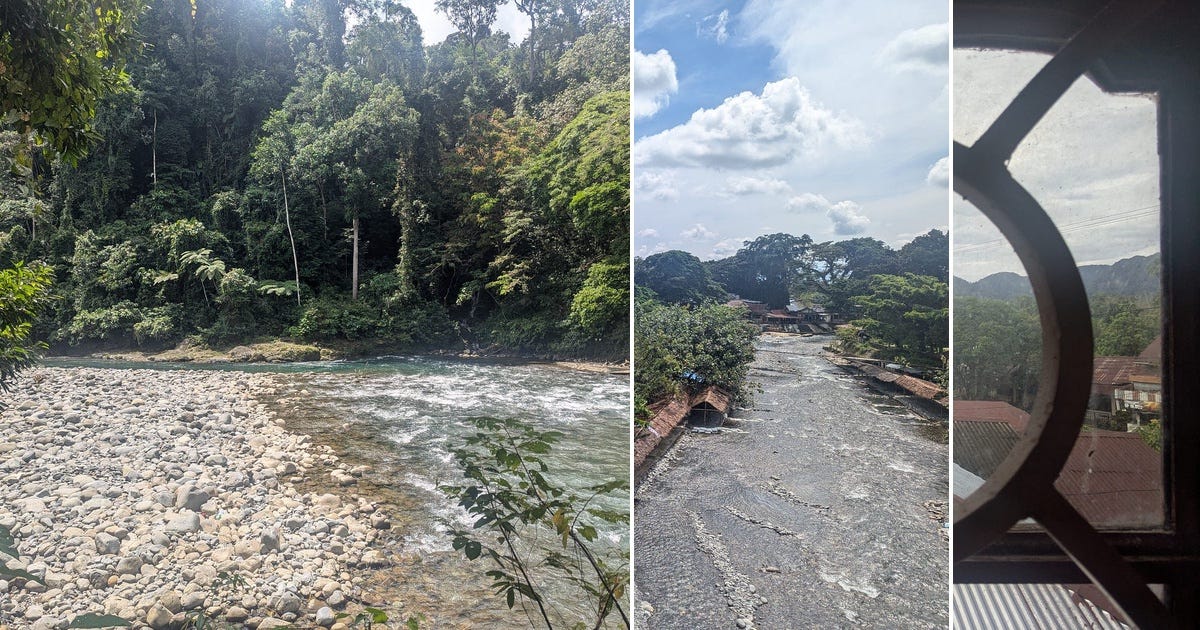 List: The Bukit Lawang Diaries | Curated by M. Cole Grady | Medium