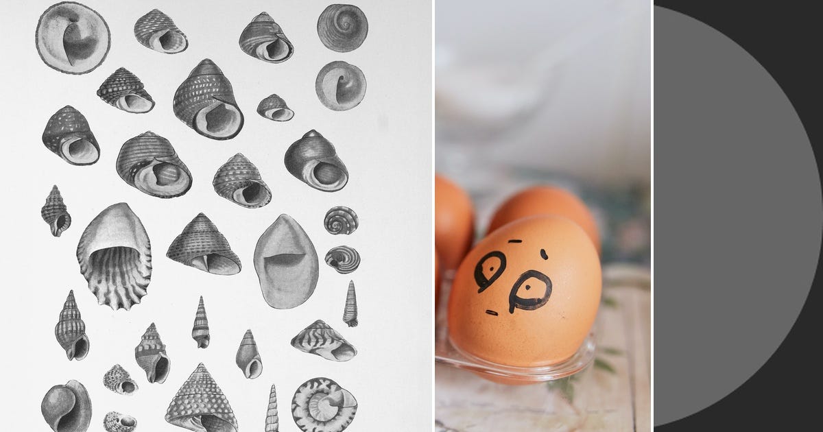 List: Python - Polymorphism | Curated by Luke Teo | Medium