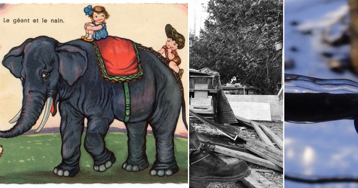 List: eva kaln - published pieces • 2024 new voice in Canadian lit ...