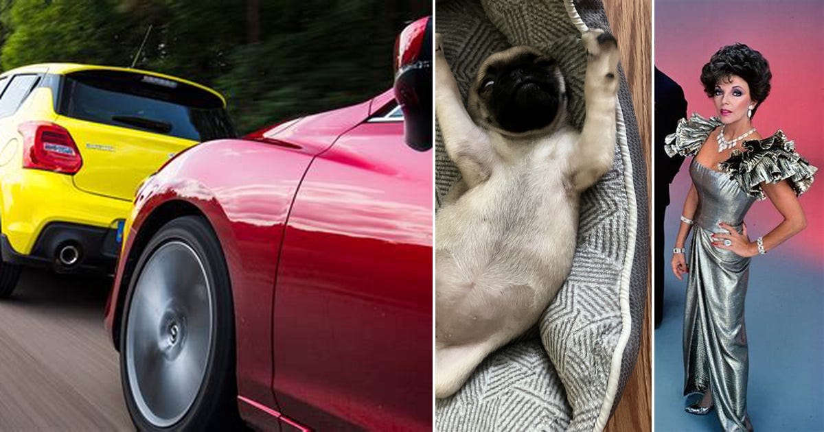 List: Humor Columns | Curated by Bill Lee | Medium