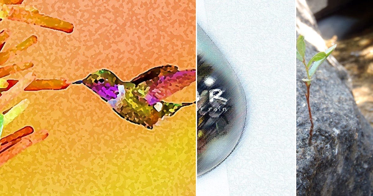 List: Reflection series - Heretical Haiku | Curated by Harry Stefanakis ...