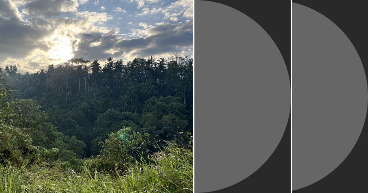 List: Reading list | Curated by MORIAM | Medium