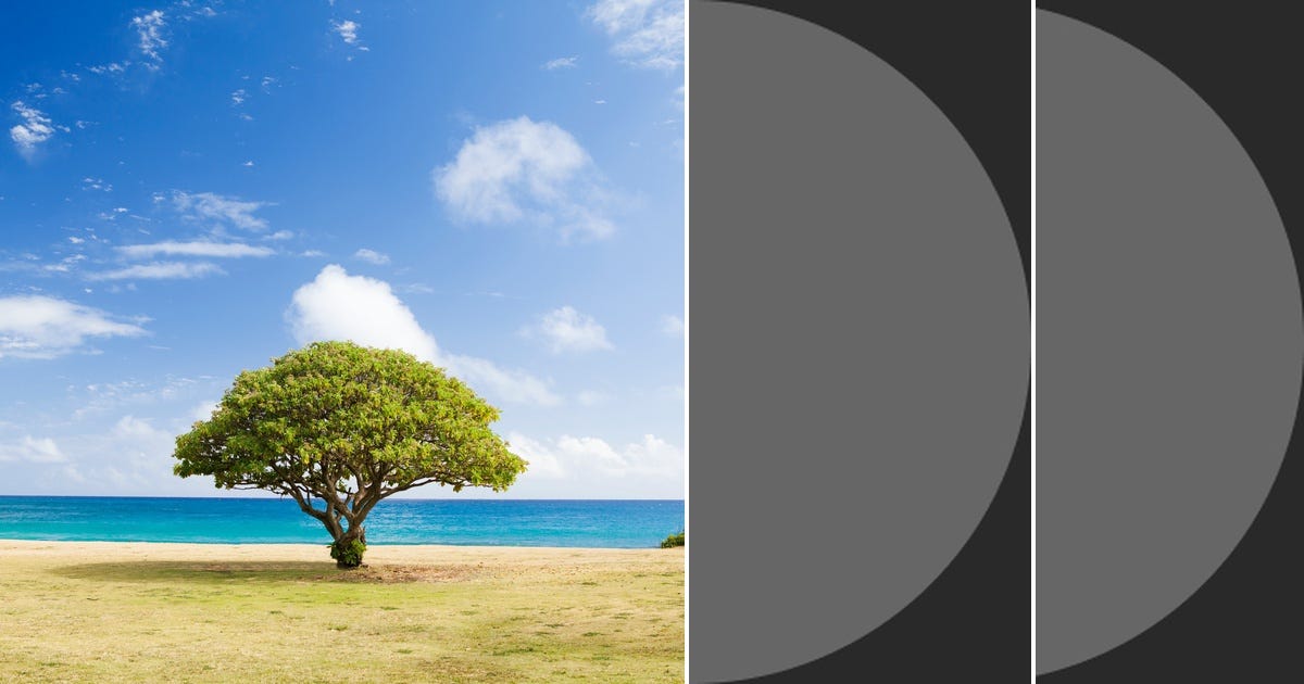 List: CS | Curated by Amin Shali | Medium