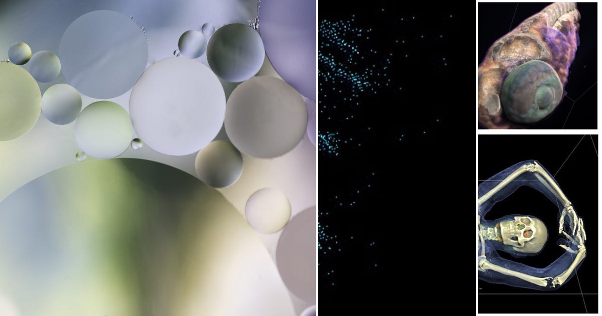 List: Visualization | Curated by Thomas W Willard | Medium