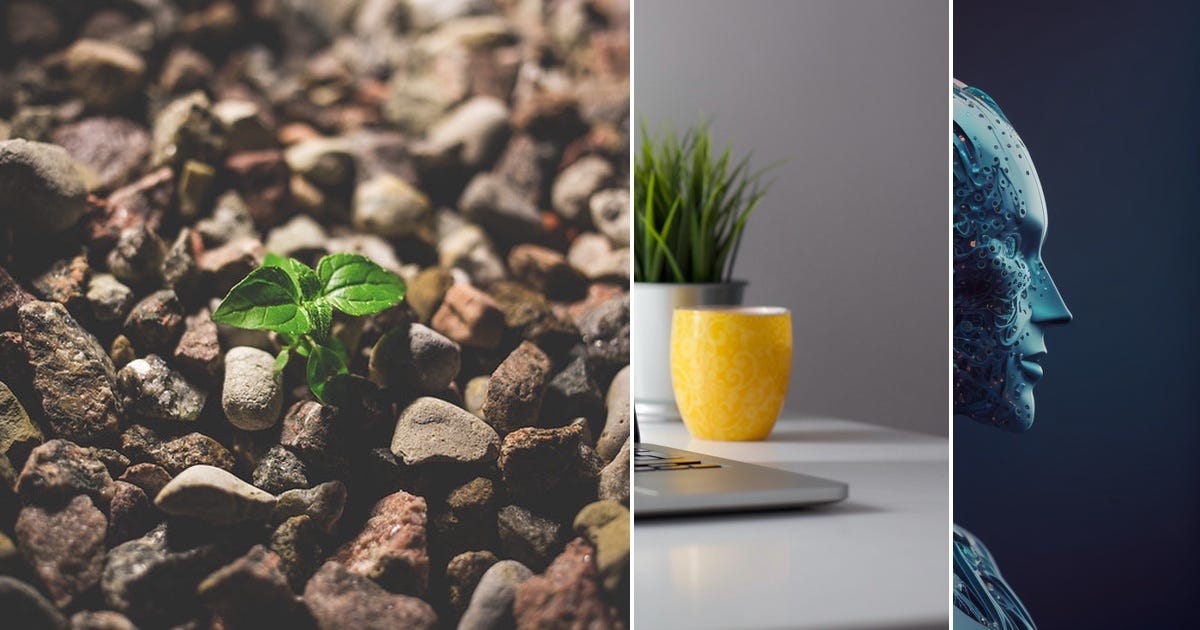 List: Management | Curated by Damion M | Medium