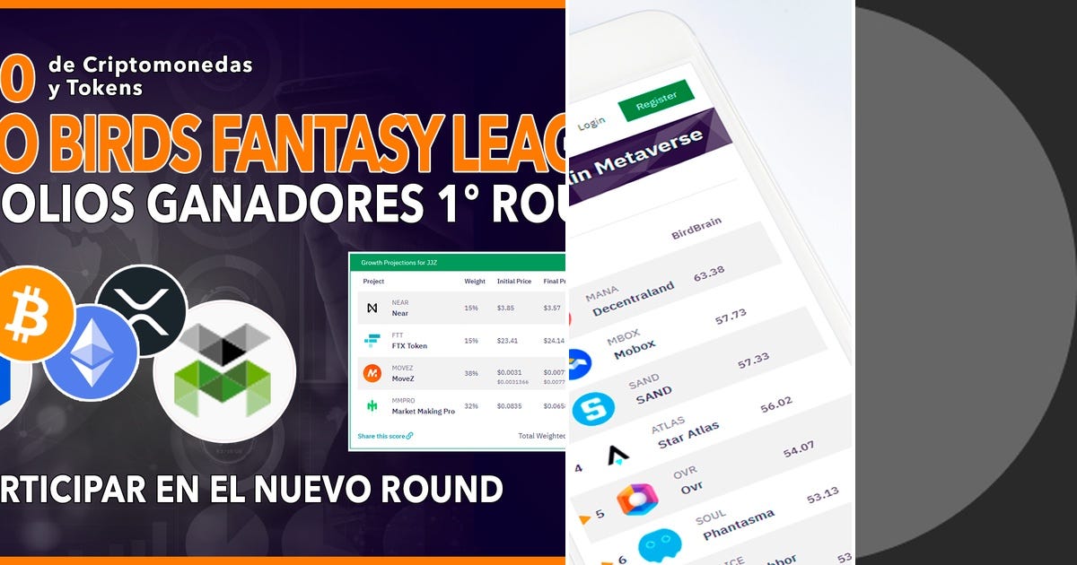 List: Algorítmo BirdBrain | Curated by Crypto Birds Español | Medium