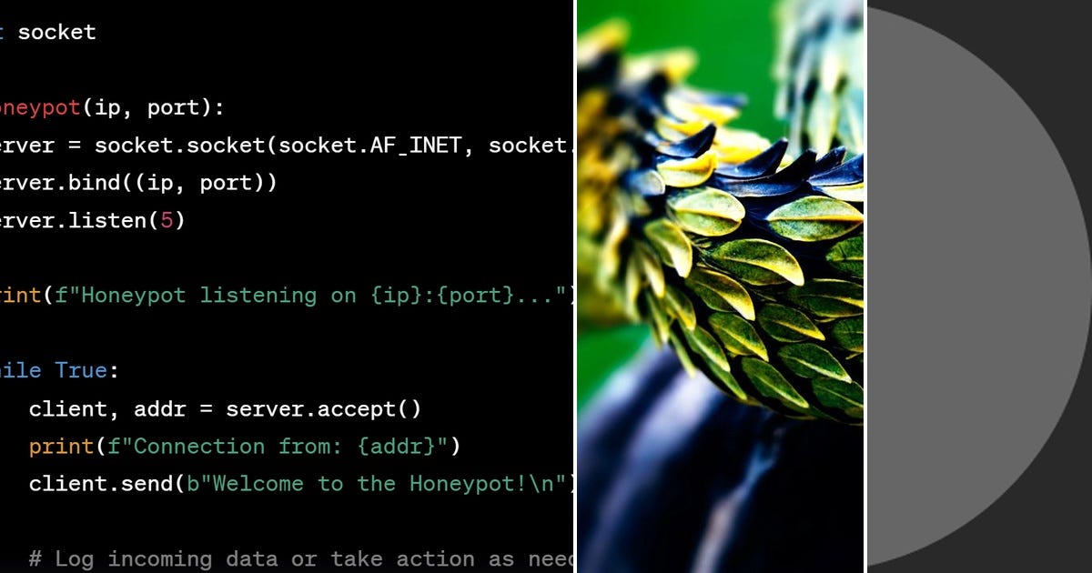 List: Python | Curated by Nicholas Misch | Medium