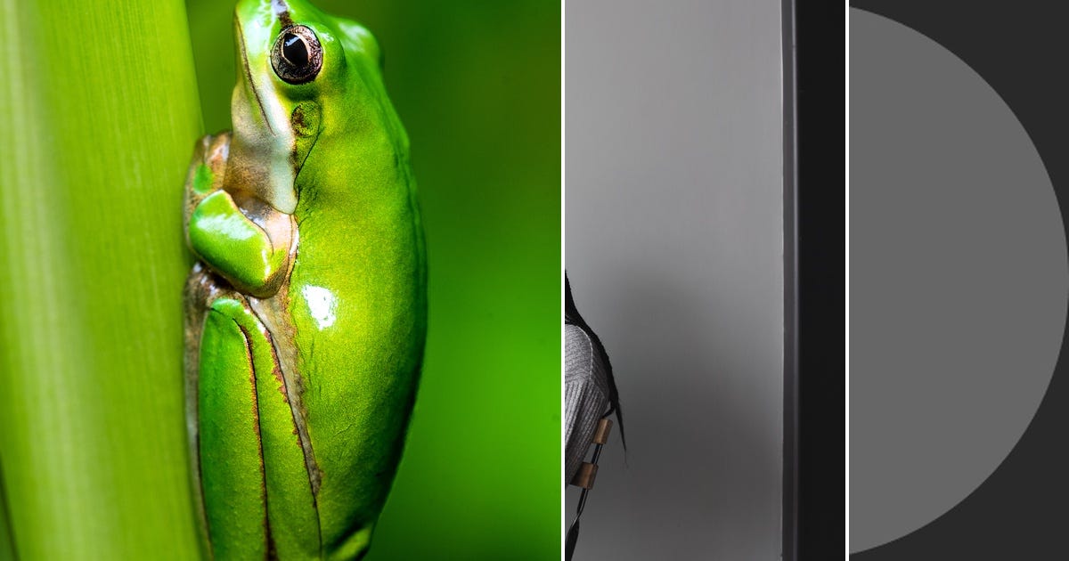 List: Management | Curated by Zach | Medium