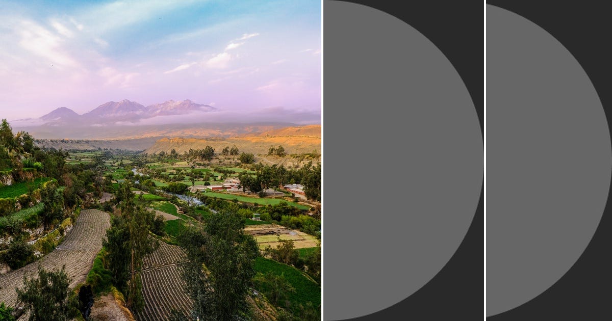 List: Advances in Psychotherapy | Curated by Michael Lloyd | Medium