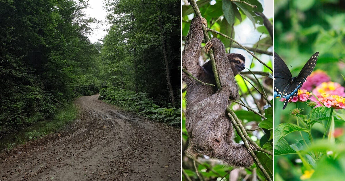 List: Life Lessons Reimagined | Curated by Thaddeus D Lev | Medium