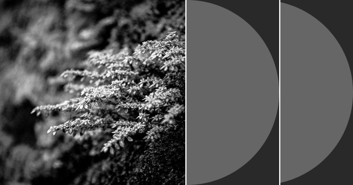 List: data structures | Curated by manuel antunes | Medium