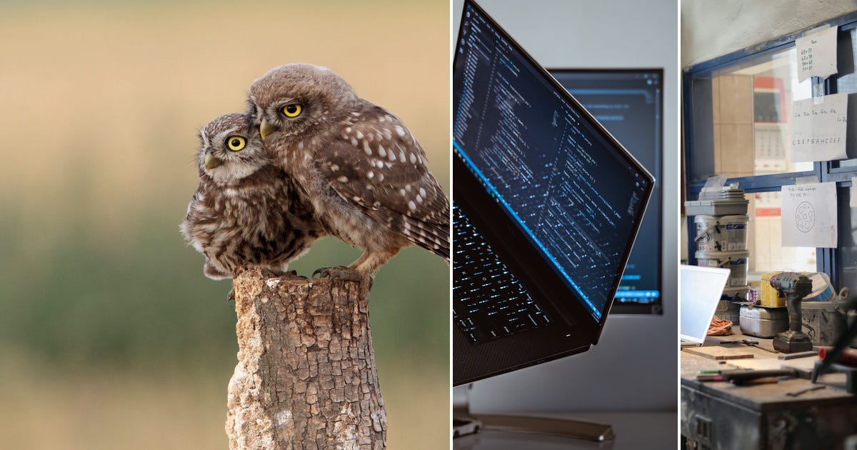 List Python Curated By Varun Vijayakumar Medium 9362