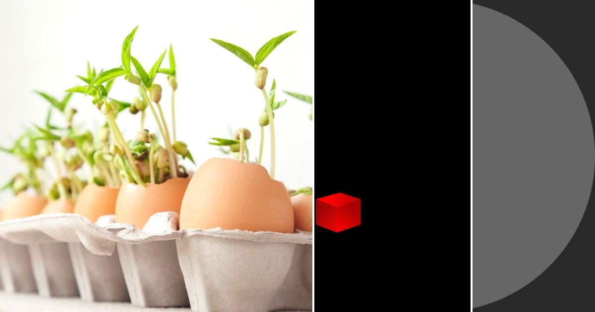 List: Spark | Curated by Seb Vidal | Medium