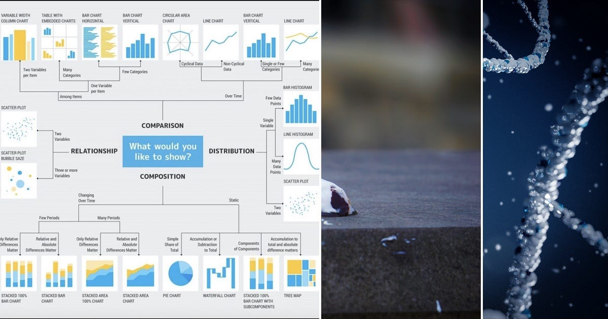 List: data visualization | Curated by Mashahin | Medium