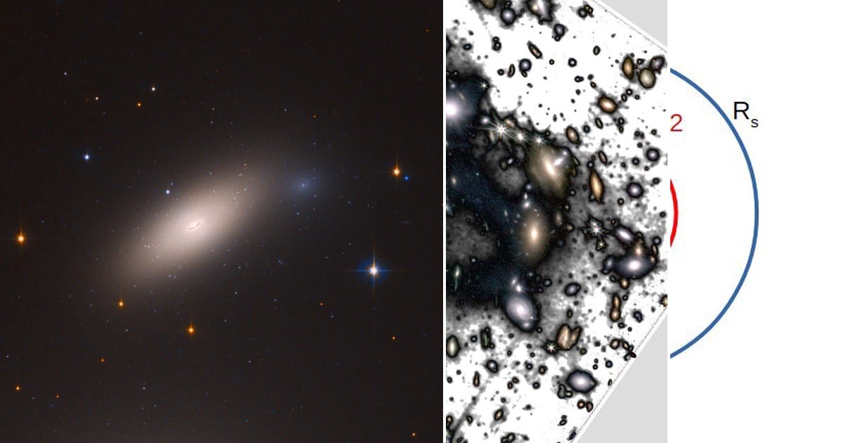 List: Okokk | Curated by Walter Rainey | Medium